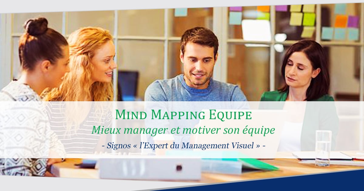 Formation Mind Mapping Equipe (Mieux manager et motiver son équipe ...