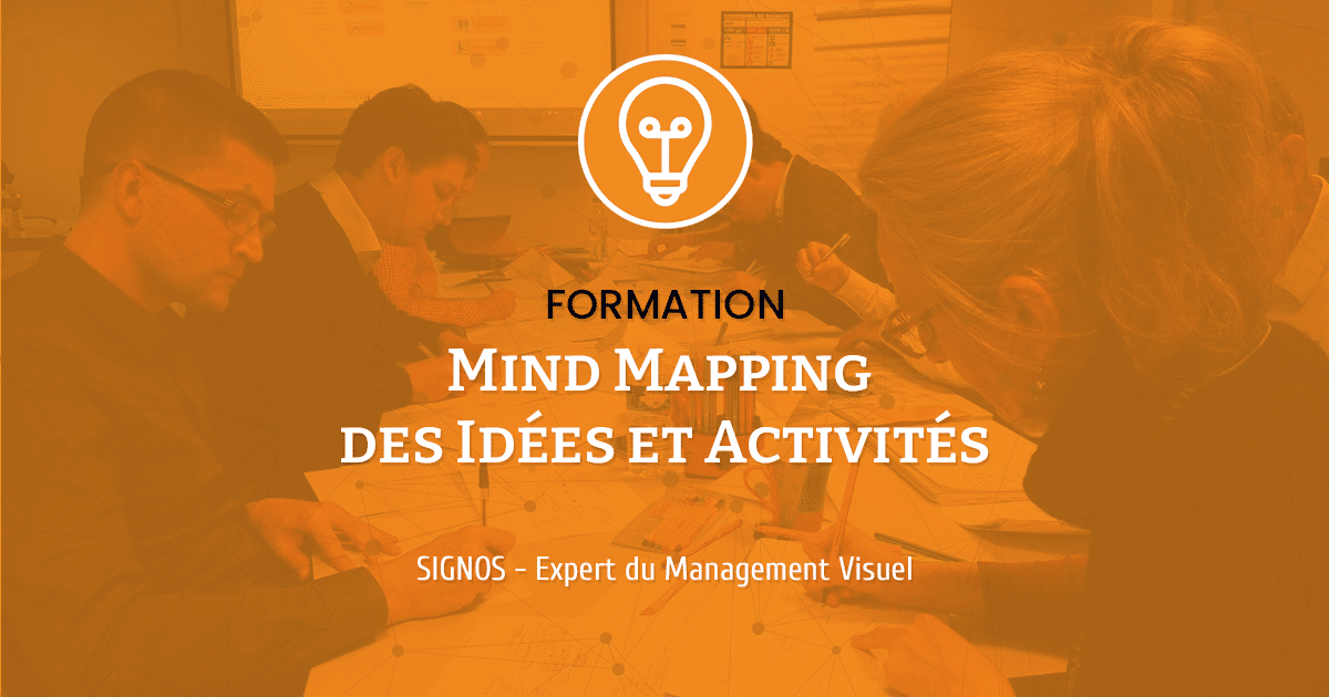 Formation Management Individuel - Mind Mapping - Signos